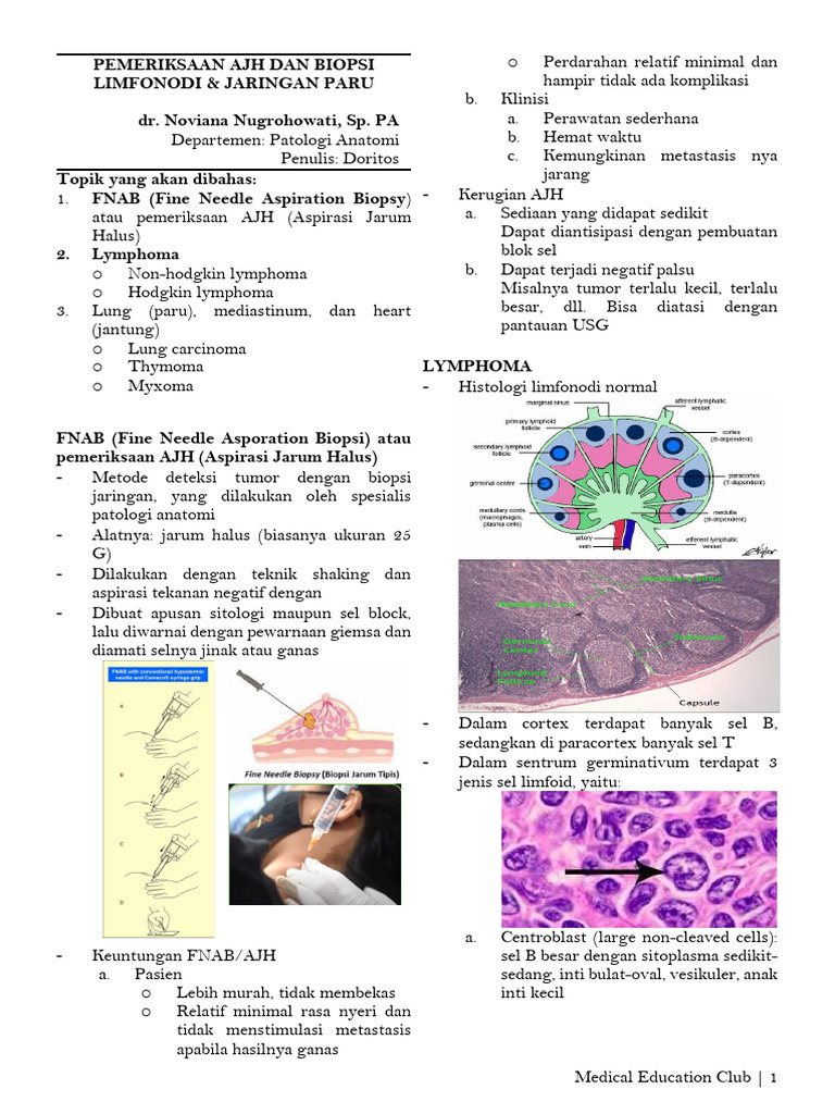 Pemeriksaan AJH | PDF