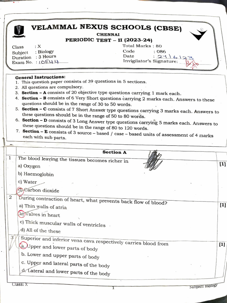 pt2 2023 | PDF | Urinary System | Kidney