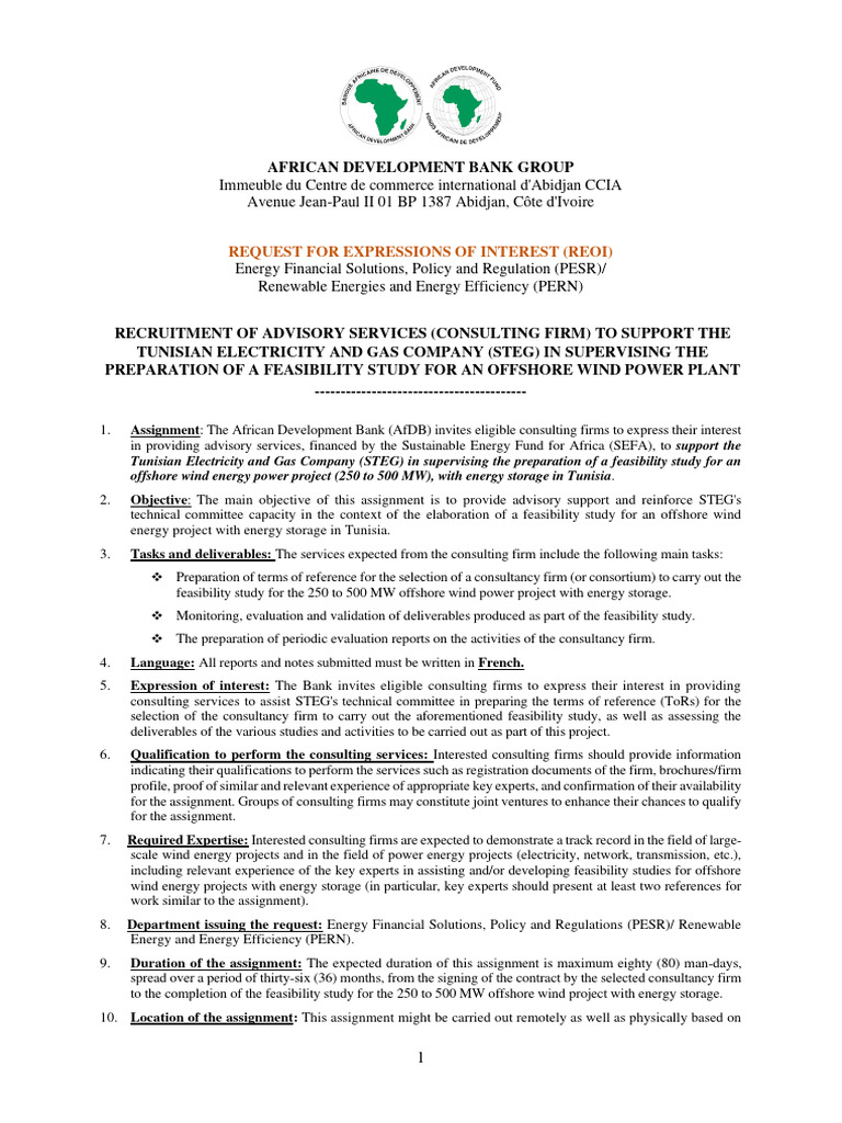 Reoi Offshore Wind Power Plant | PDF | Wind Power | Consultant