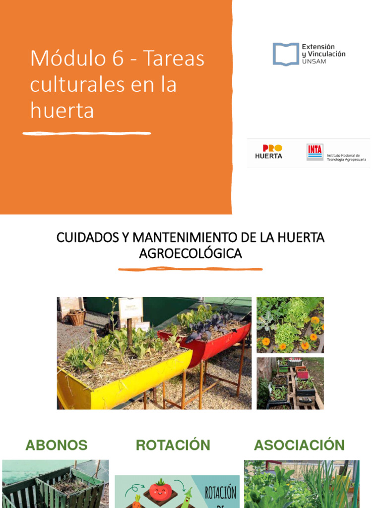 Módulo 6 - Tareas Culturales en La Huerta | PDF | Suelo | Agua
