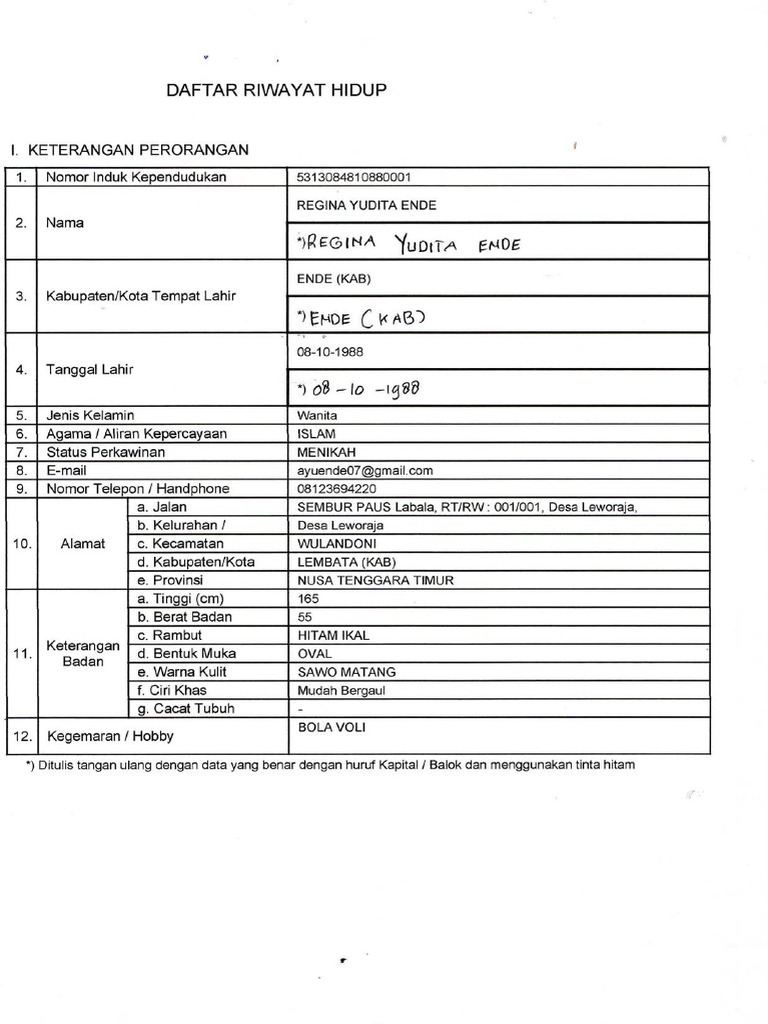 DRH Perorangan | PDF