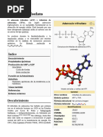 Funciones y síntesis del ATP en células | PDF | Trifosfato de adenosina ...