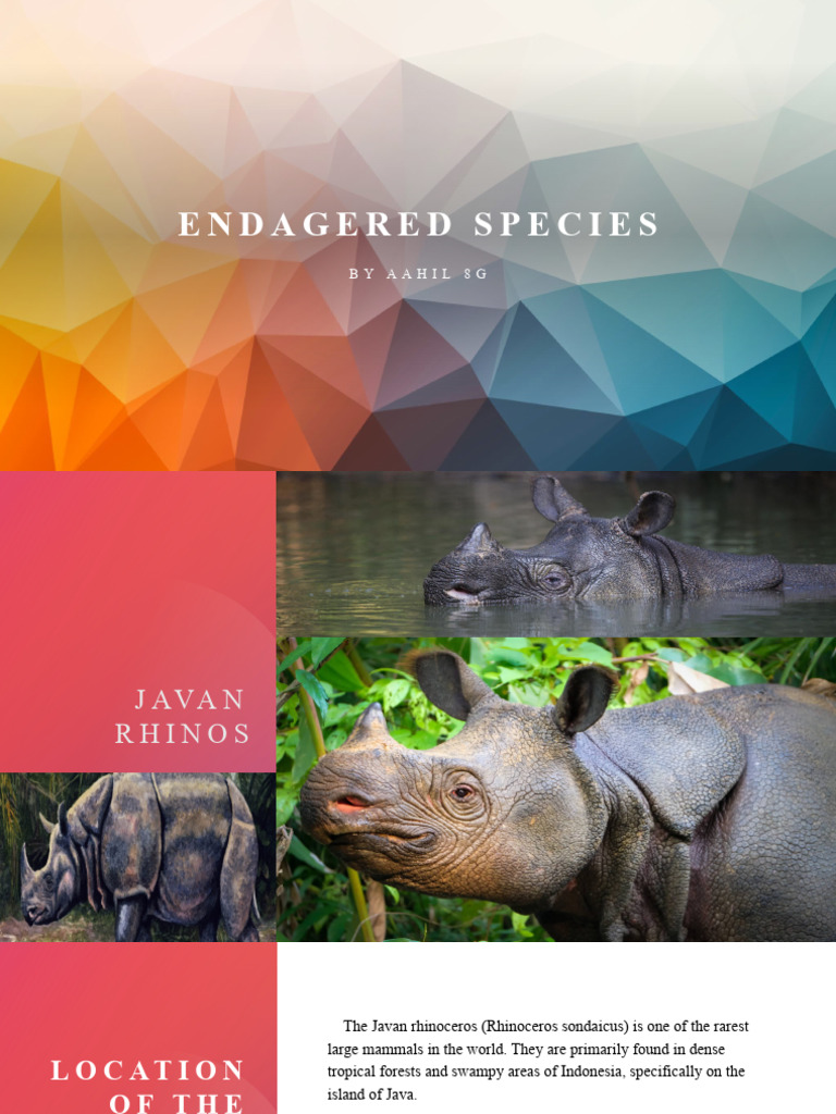 Holiday Homework - Science | PDF | Conservation Biology | Biodiversity