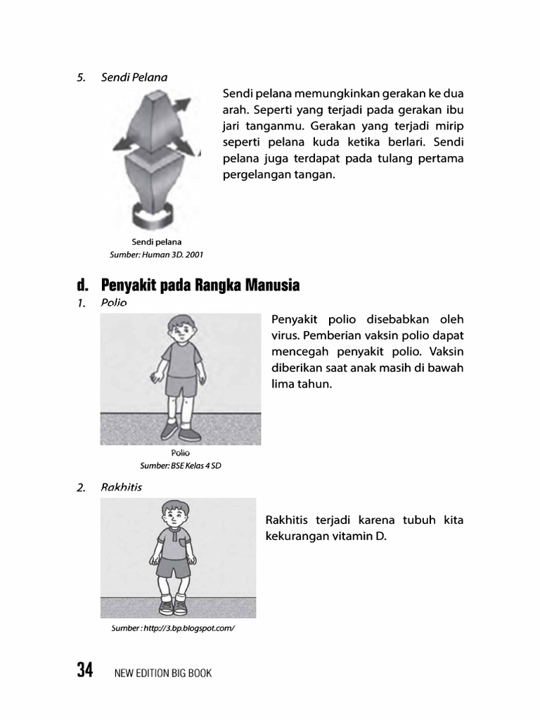 New Edition Big Book IPA SDMI Kelas 4, 5, 6-41 | PDF