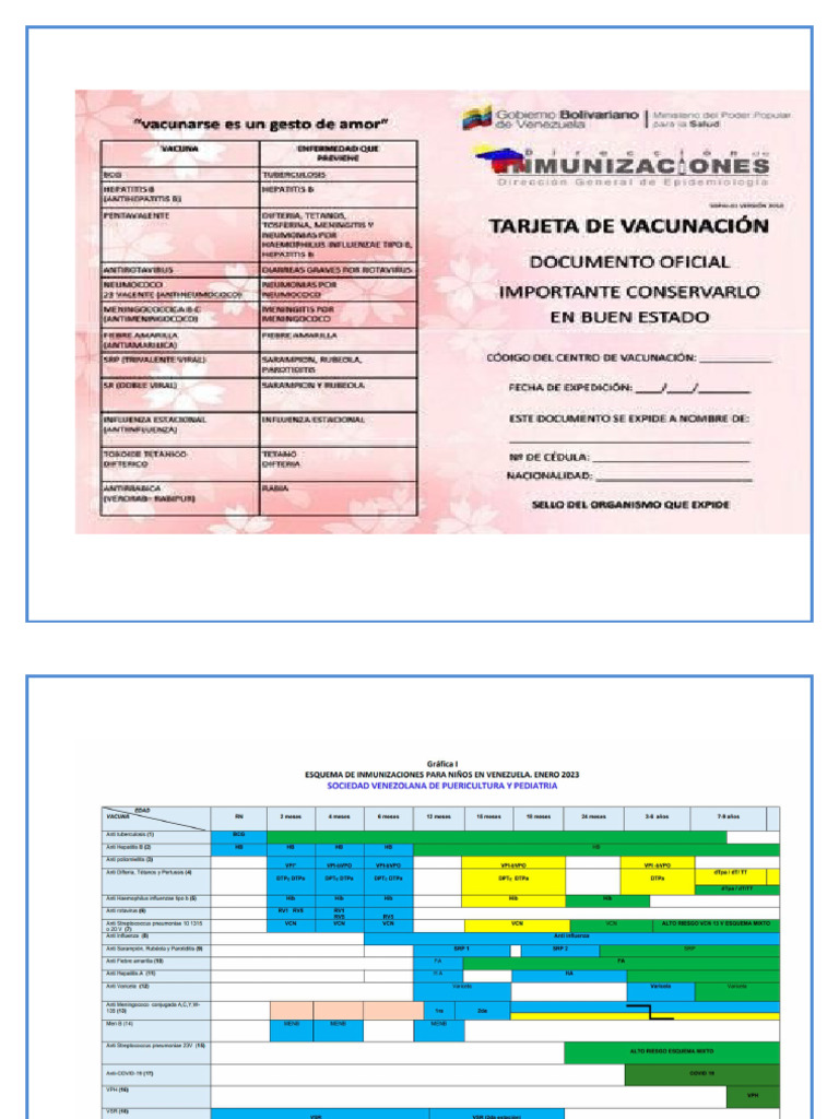 Modelo de Tarjeta de Vacunación | PDF