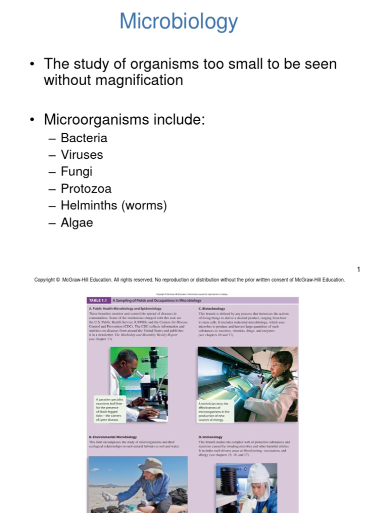 Lecture 1 | PDF | Microorganism | Cell (Biology)