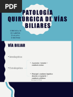 Vía Intrínseca y Extrínseca de La Coagulación | PDF | Coagulación ...