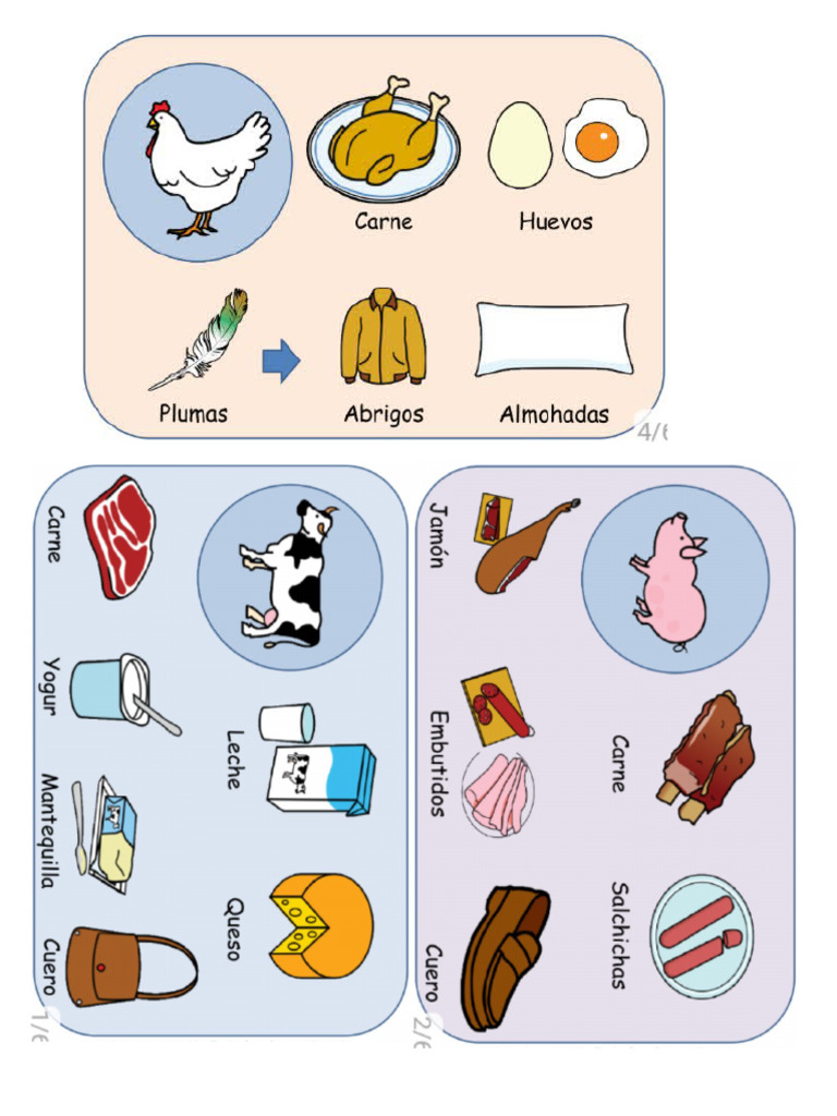 Productos Derivados de La Vaca, El Cerdo, La Gallina. | PDF