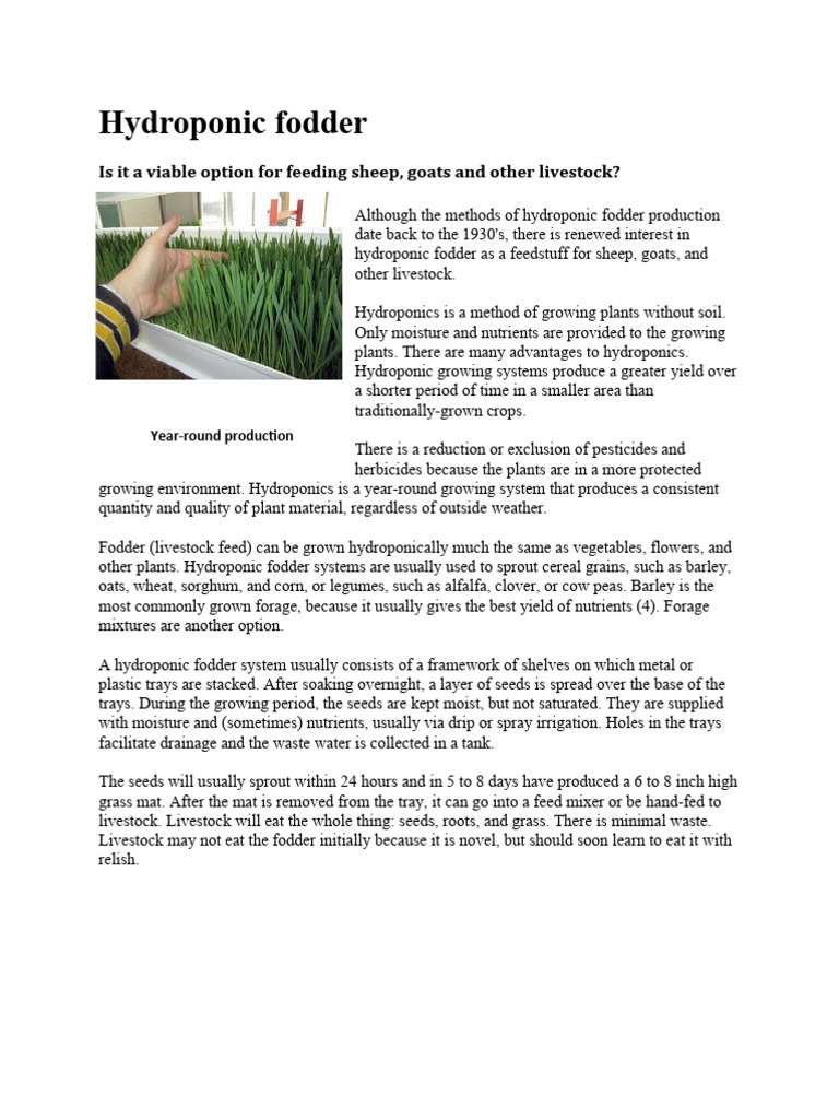 Livestock Hydroponic Fodder Guide | PDF | Fodder | Animal Feed