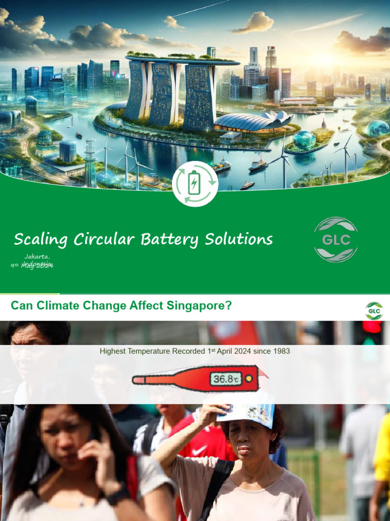 5.9am1-Scaling Circular Battery Solutions | PDF | Recycling | Cobalt