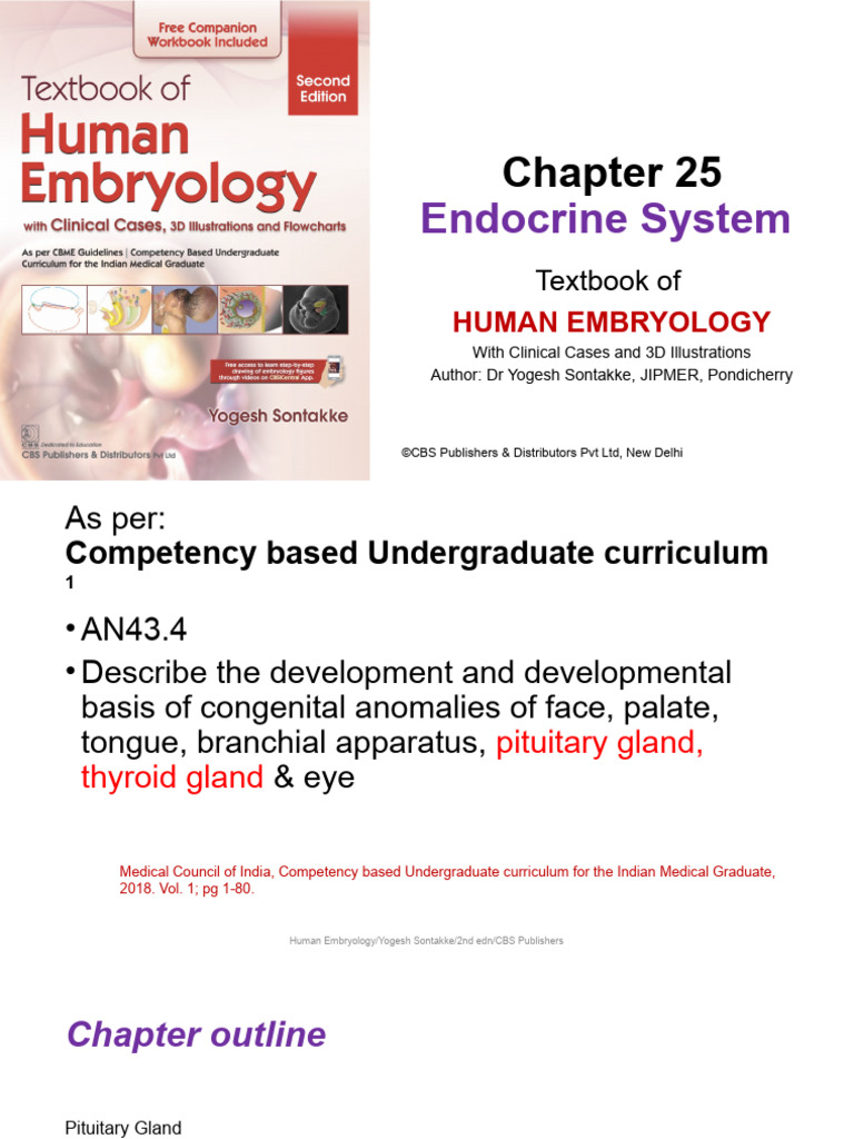 Chapter 25 Endocrine System | PDF | Pituitary Gland | Endocrine System