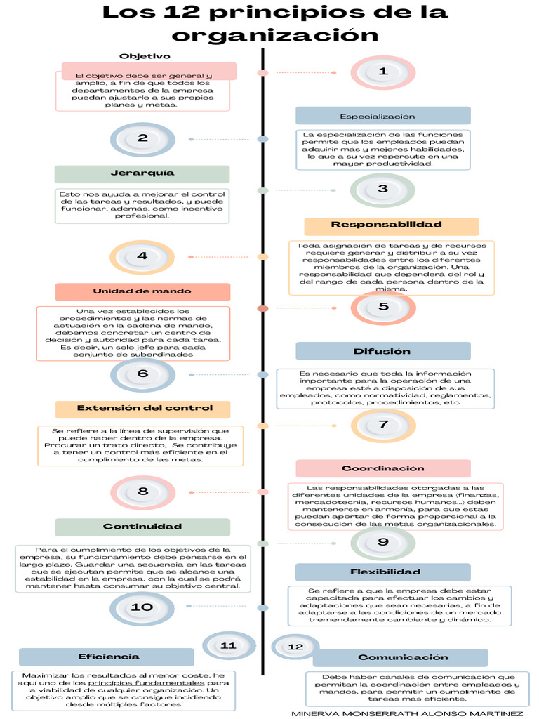 12 Principios de La Organización | PDF | Business | Gestión de recursos ...