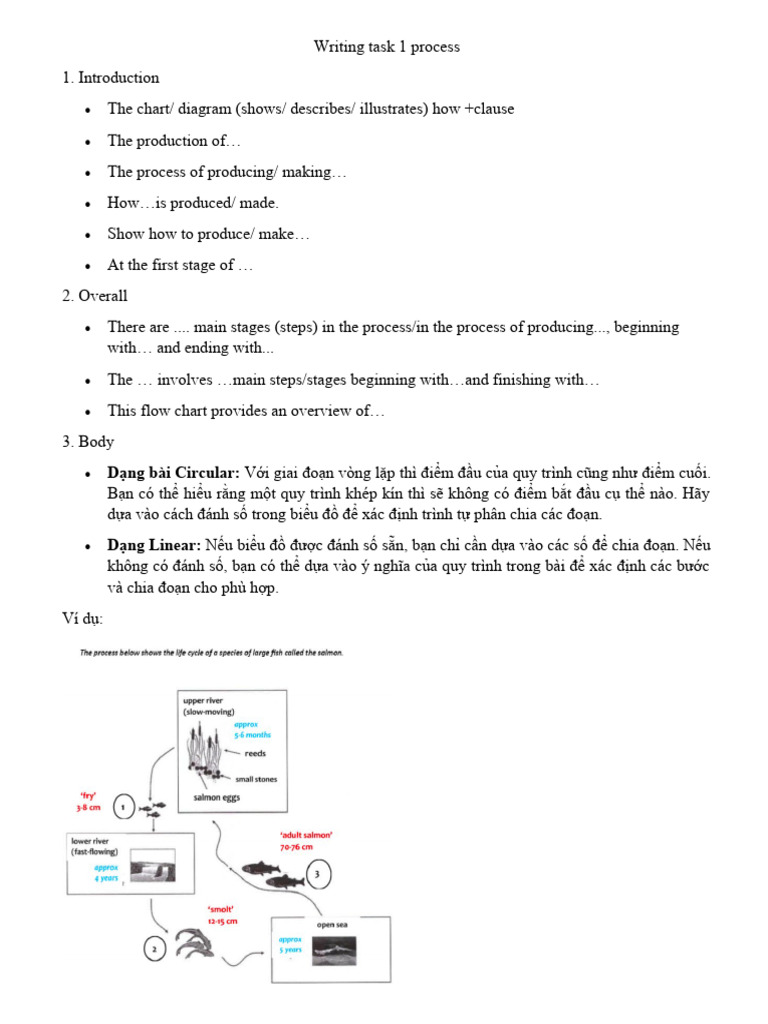 Writing Task 1 Process | PDF