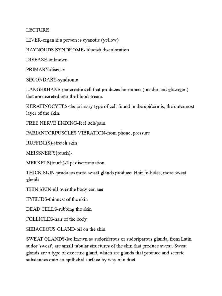 Integumentary-System Notes | PDF | Skin | Epidermis