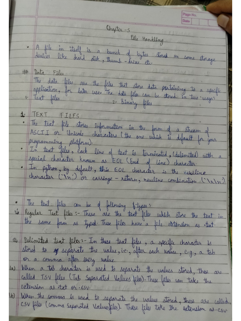 COMPUTER SCIENCE File Handling | PDF