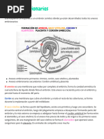 Desarrollo del Saco Coriónico en Humanos | PDF | Ciencia y matemáticas