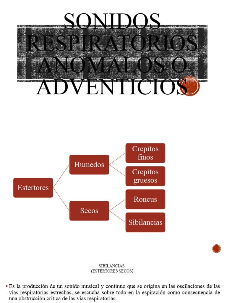 Sonidos Respiratorios Anómalos | PDF | Medicina | Medicina CLINICA