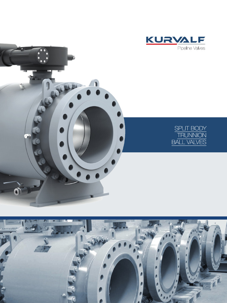 Split Body Ball Valve | PDF