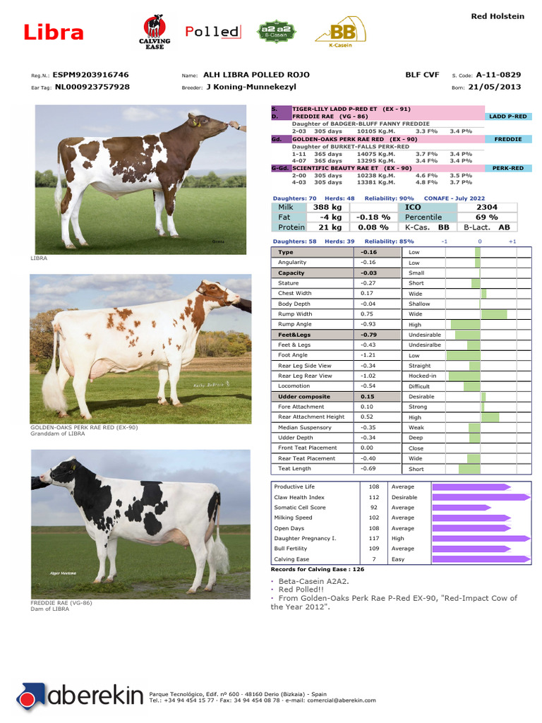 Libra (1) | PDF | Cattle | Bovines