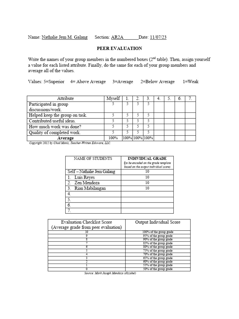 Peer Evaluation | PDF | Cognition
