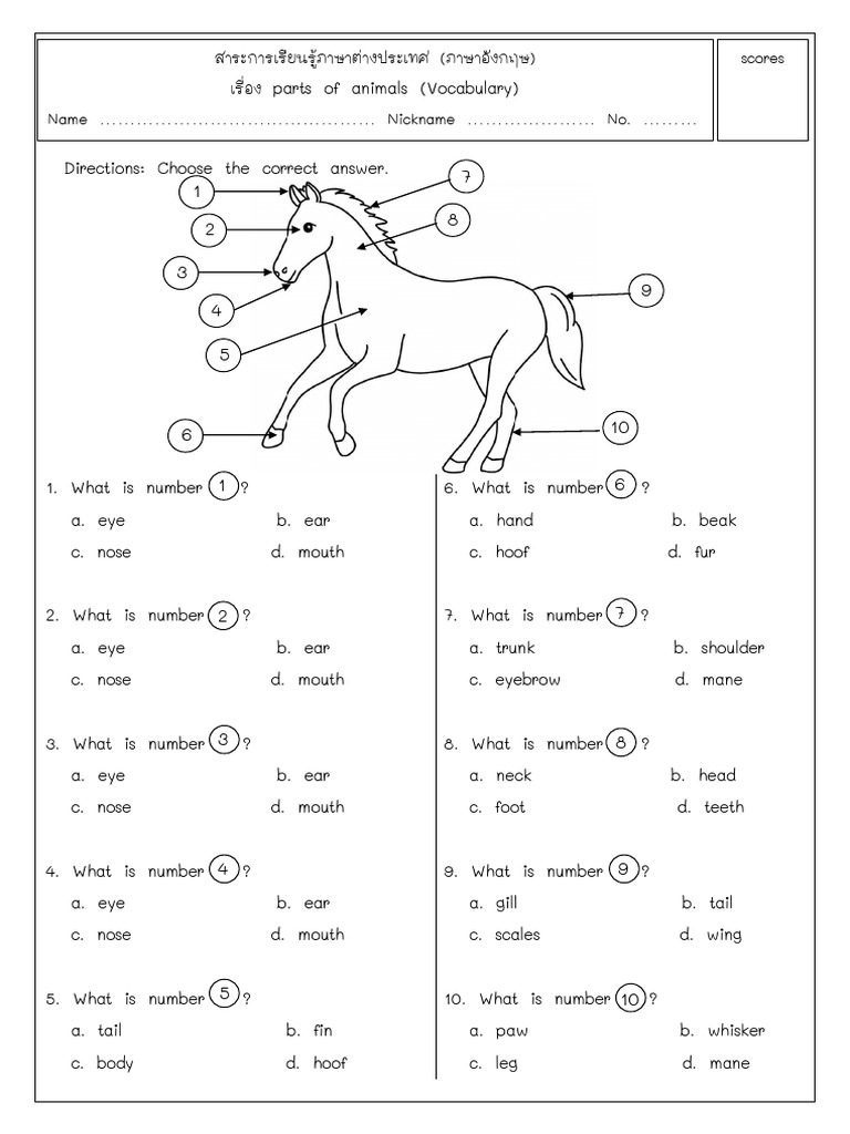 Part of Animal Worksheet 3 | PDF | Claw | Zoology