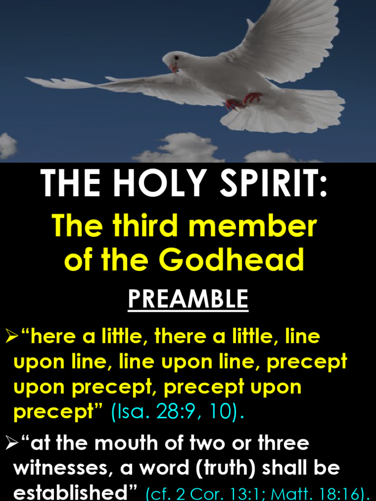 Lesson 5 The Holy Spirit - Our Indispensable Companion | PDF | Baptism | Jesus