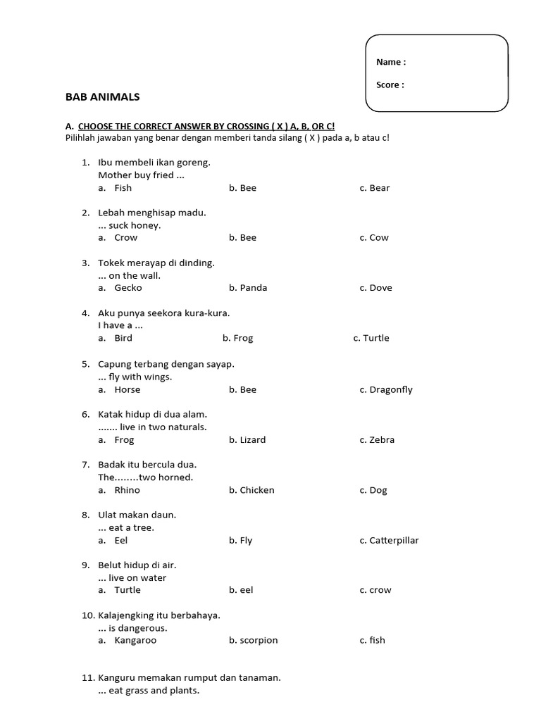 Animal Vocabulary Quiz for Kids | PDF | Zoology
