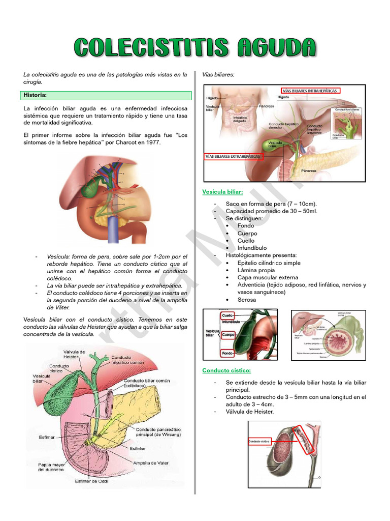 S13 y S14 - Colecistitis y Colangitis Aguda | PDF | Vesícula biliar | Bilis