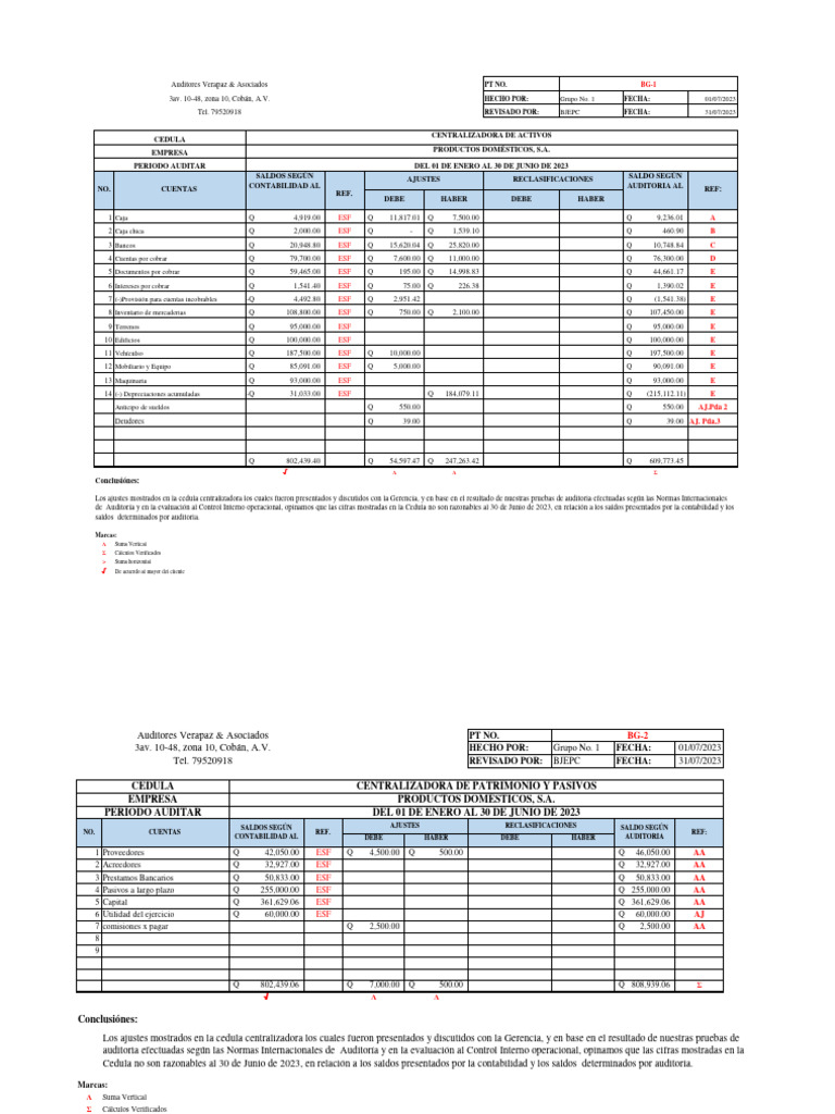 Cedula Activos - Merged | PDF | Auditoría | Contabilidad