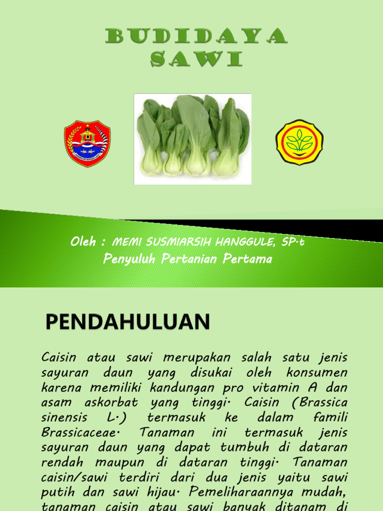 Budidaya Tanaman Sawi Caisin | PDF | Griya & Taman