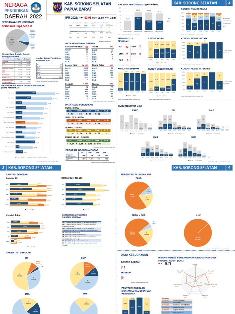 NPD Sorsel 2022 | PDF