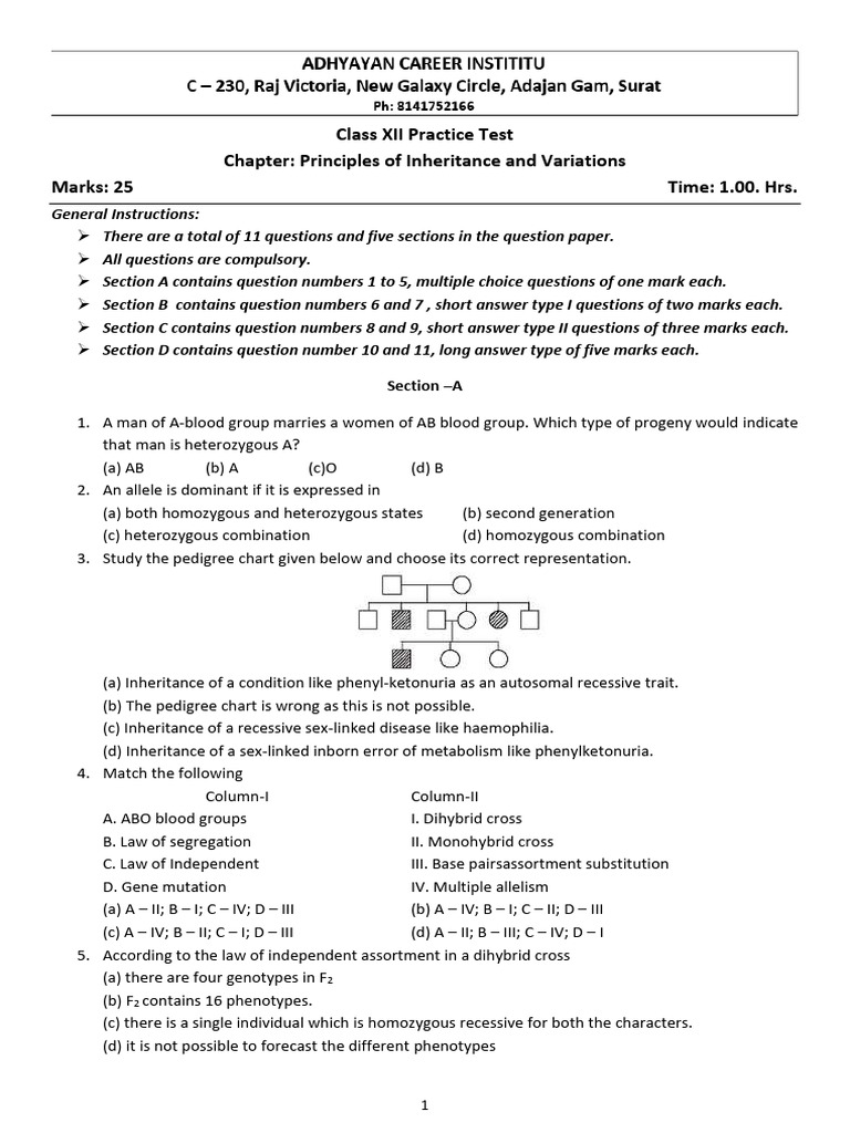 XII Bio Chapter 5 Test 1 | PDF | Dominance (Genetics) | Zygosity