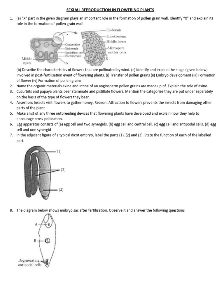 Sexual Reproduction in Flowering Plants | PDF | Flowers | Pollination
