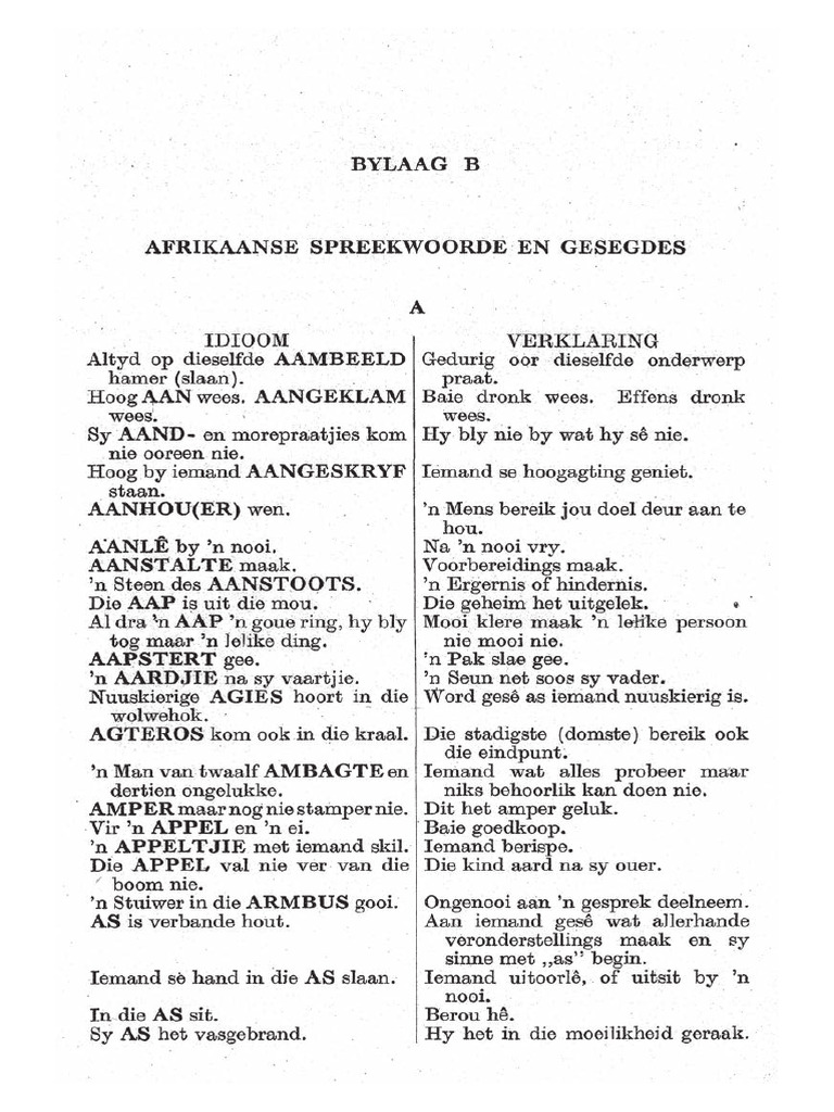 BylaagB - Idiome | PDF