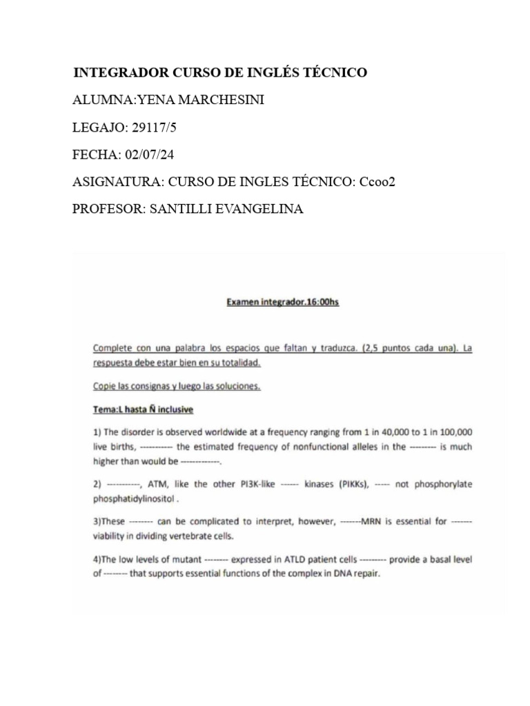 Integrador Ingles | PDF