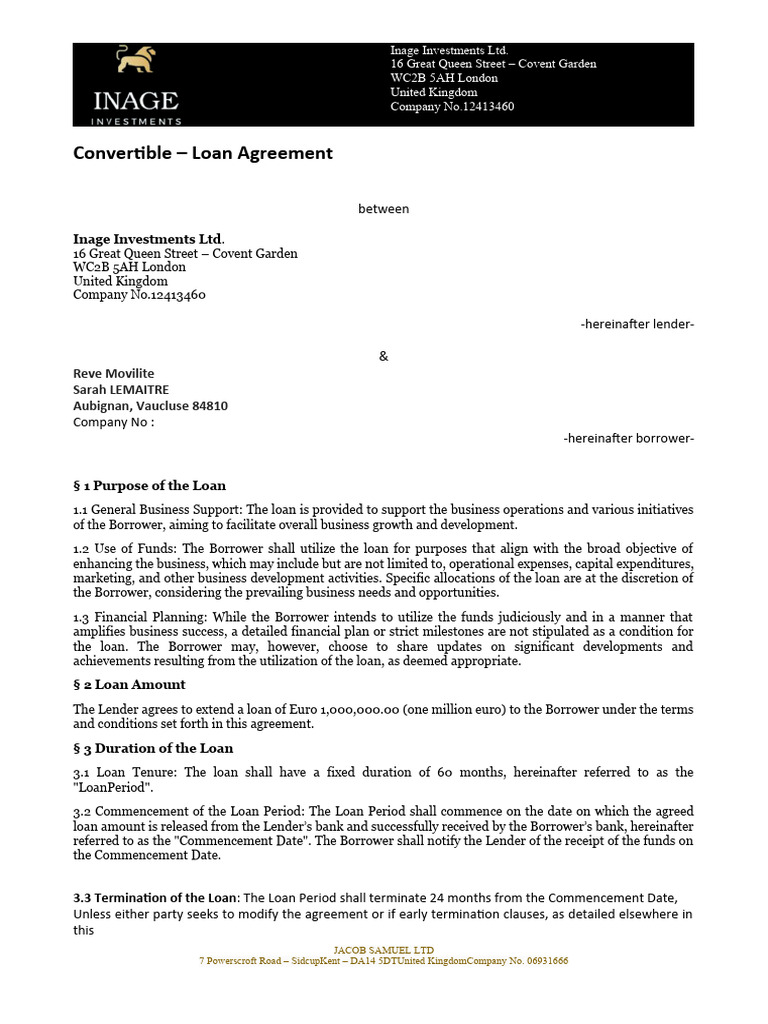 Convertible Loan | PDF | Loans | Cryptocurrency