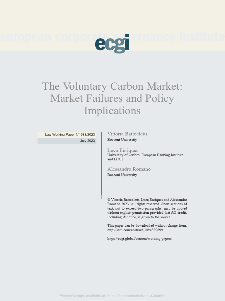 The Voluntary Carbon Market - Market Failures and Policy Implications ...