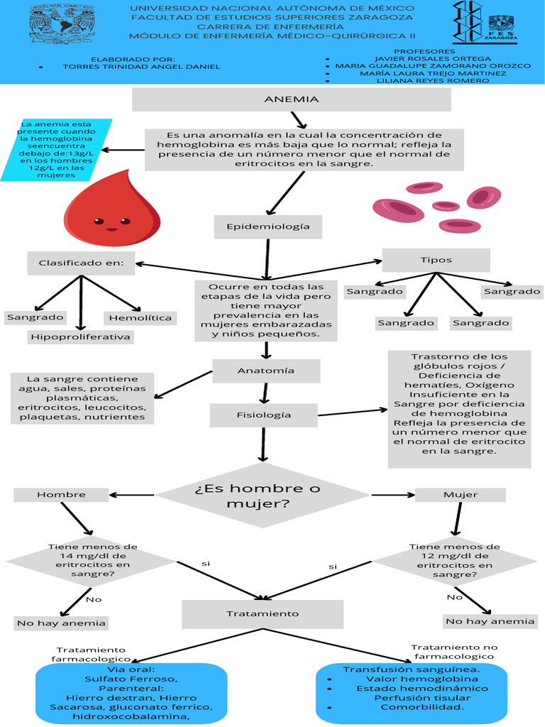 ANEMIA Diagrama Torres Angel | PDF | Sangre | Glóbulo rojo