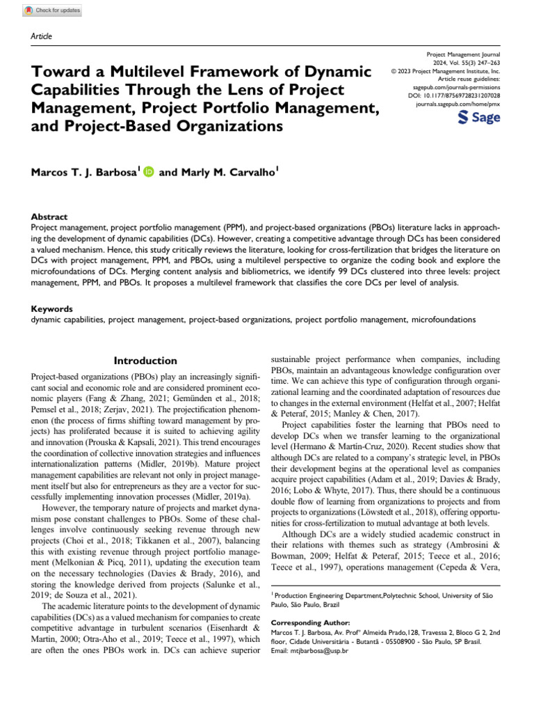 Barbosa Carvalho 2023 Toward A Multilevel Framework of Dynamic ... Barbosa Carvalho 2023 Toward A Multilevel Framework of Dynamic ...