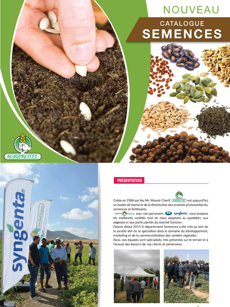 Catalogue Semence | PDF