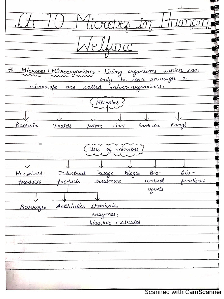 Microbes in Human Welfare Notes by ChemiStudious | PDF
