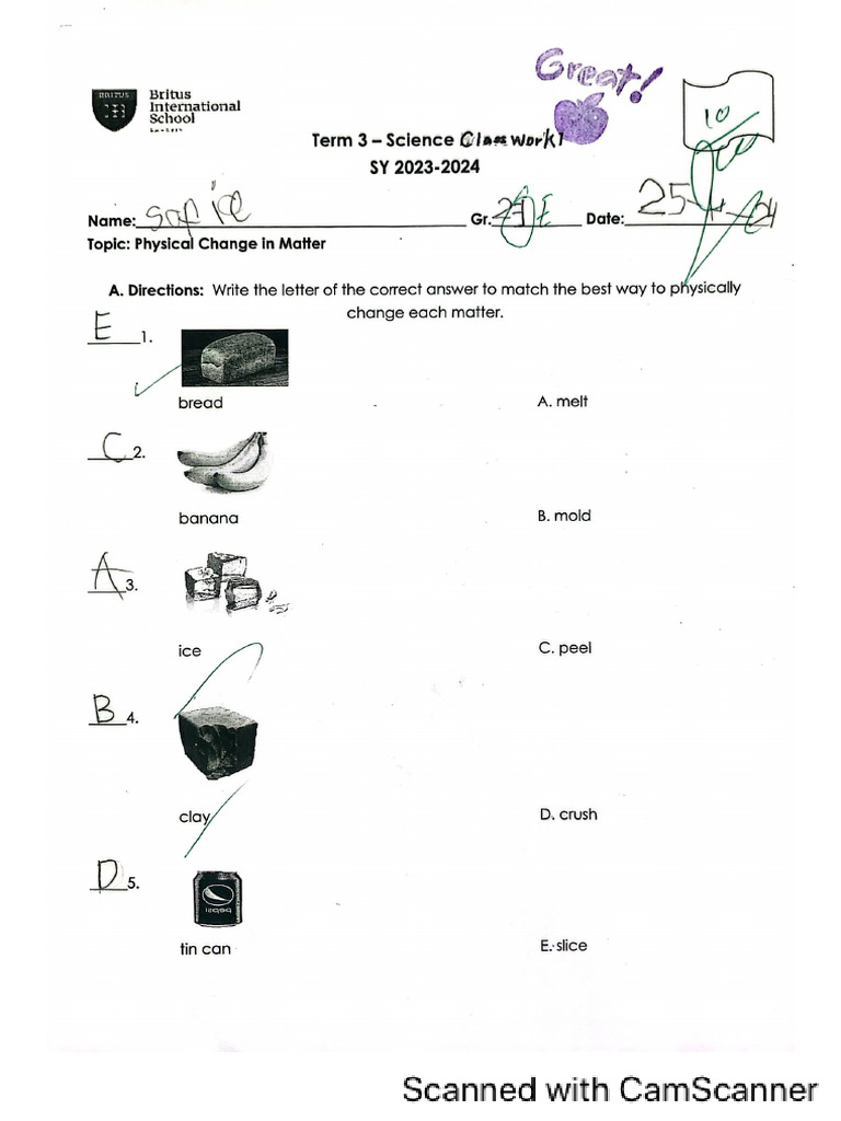 Term 3 Sofia Class Work 2 E | PDF