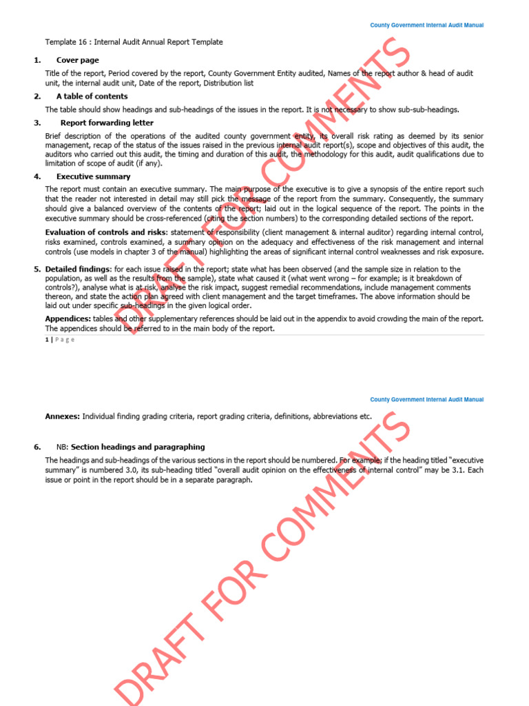 Template 16 Internal Audit Annual Report Download Free Pdf Internal