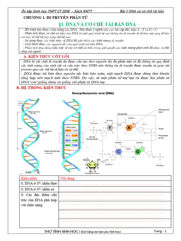 BÀI 1. DNA VÀ CƠ CHẾ TÁI BẢN DNA-HS | PDF