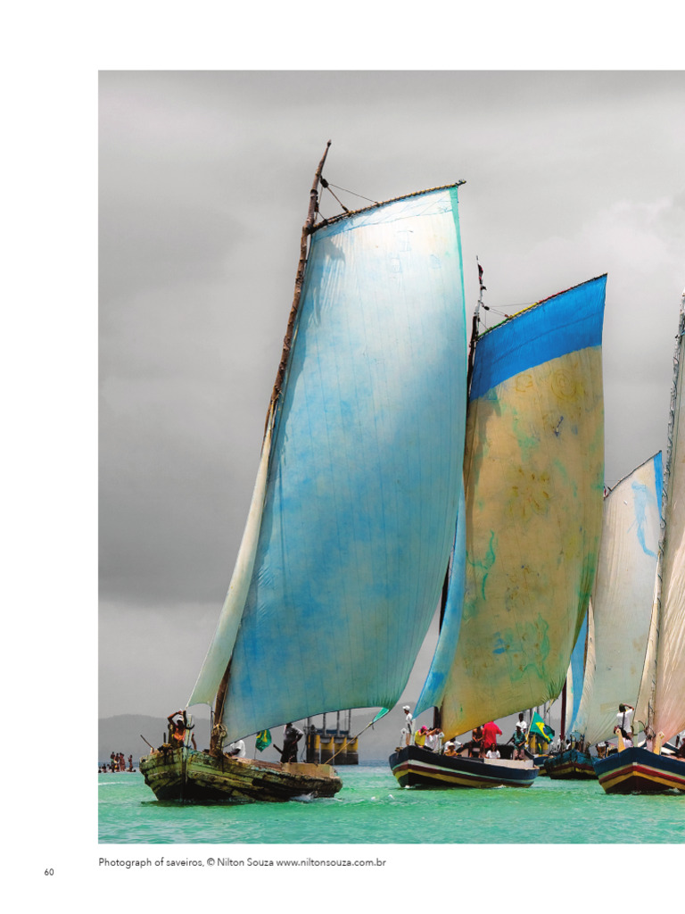 The Içar Project Preserving The Ancient Art of Shipbuilders in Brazil ...