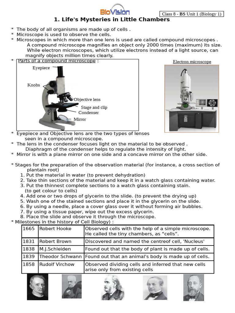 BIO-VISION - Class 8 BS Unit 1 Simplified Notes (Eng Medium) | PDF ...