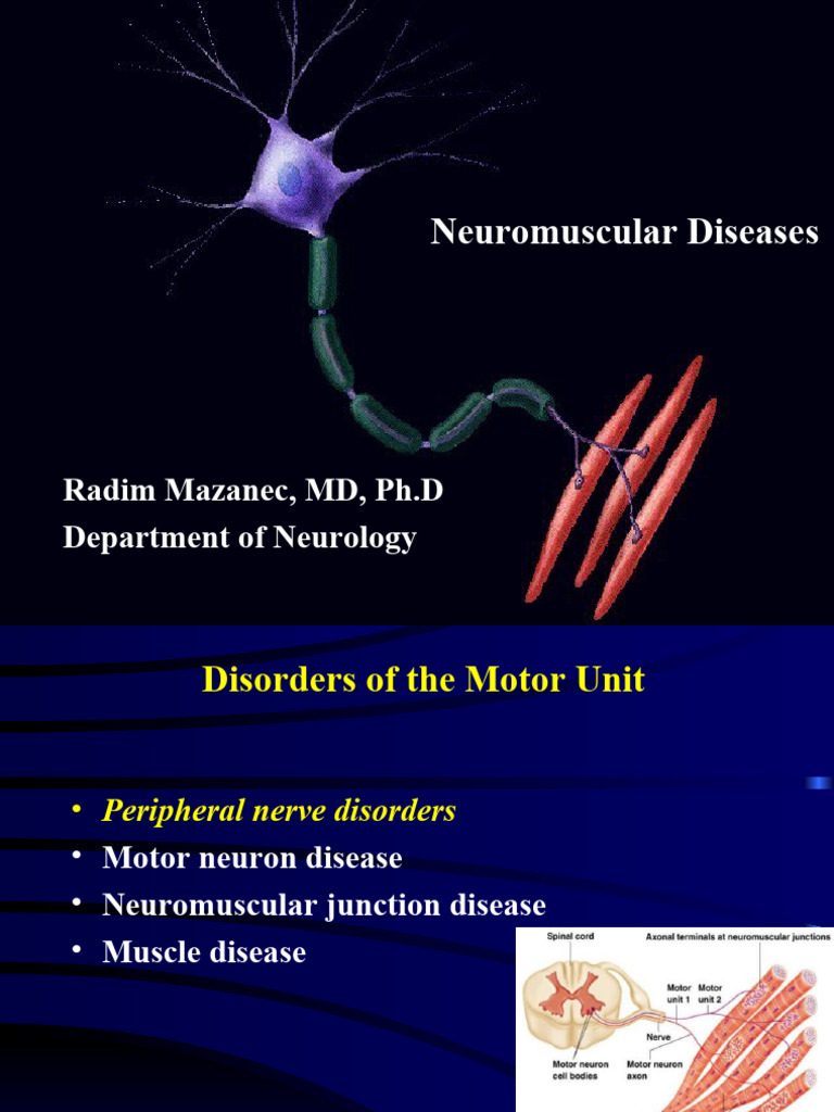 Neuromuscular Diseases | PDF | Peripheral Neuropathy | Medical Specialties