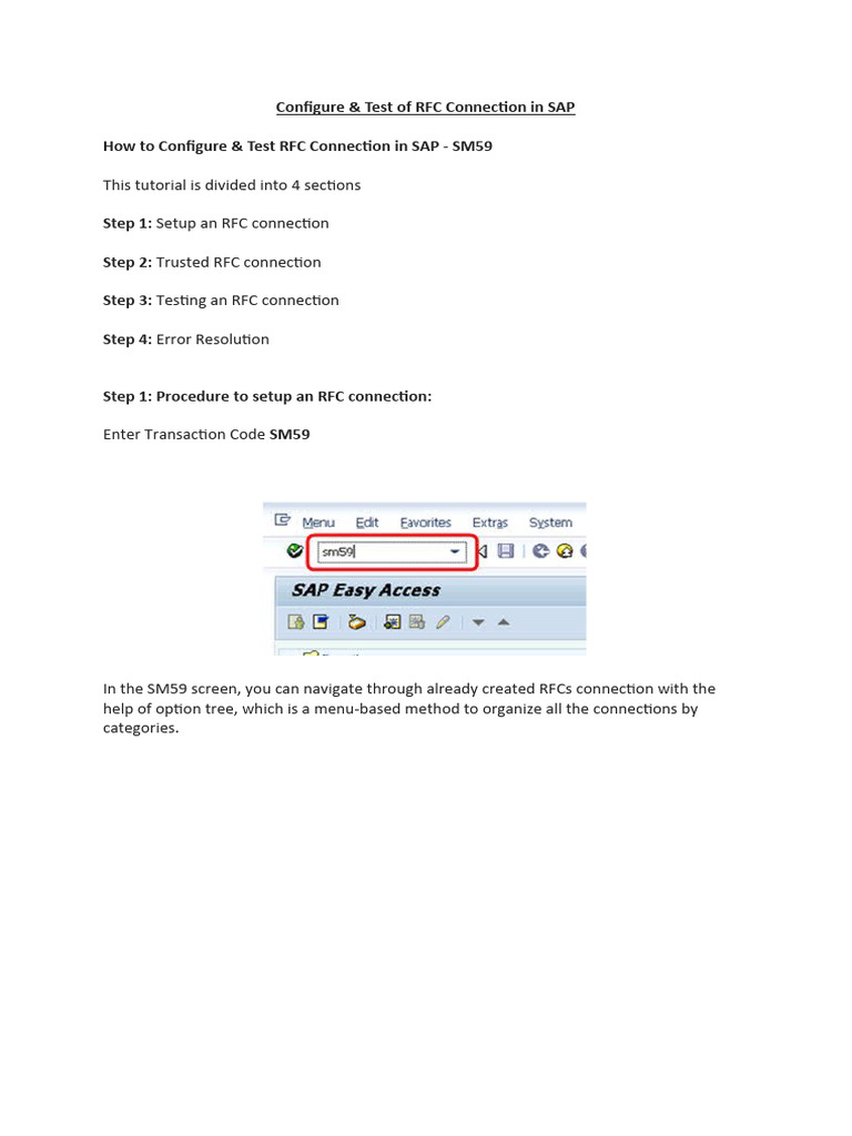 SAP RFC Connection Guide | PDF | Login | Password