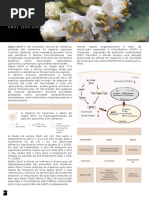 Gel Hemostático de Cloreto Férrico | PDF | Bem-estar