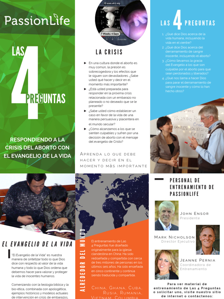 Brochure 4 Preguntas | PDF